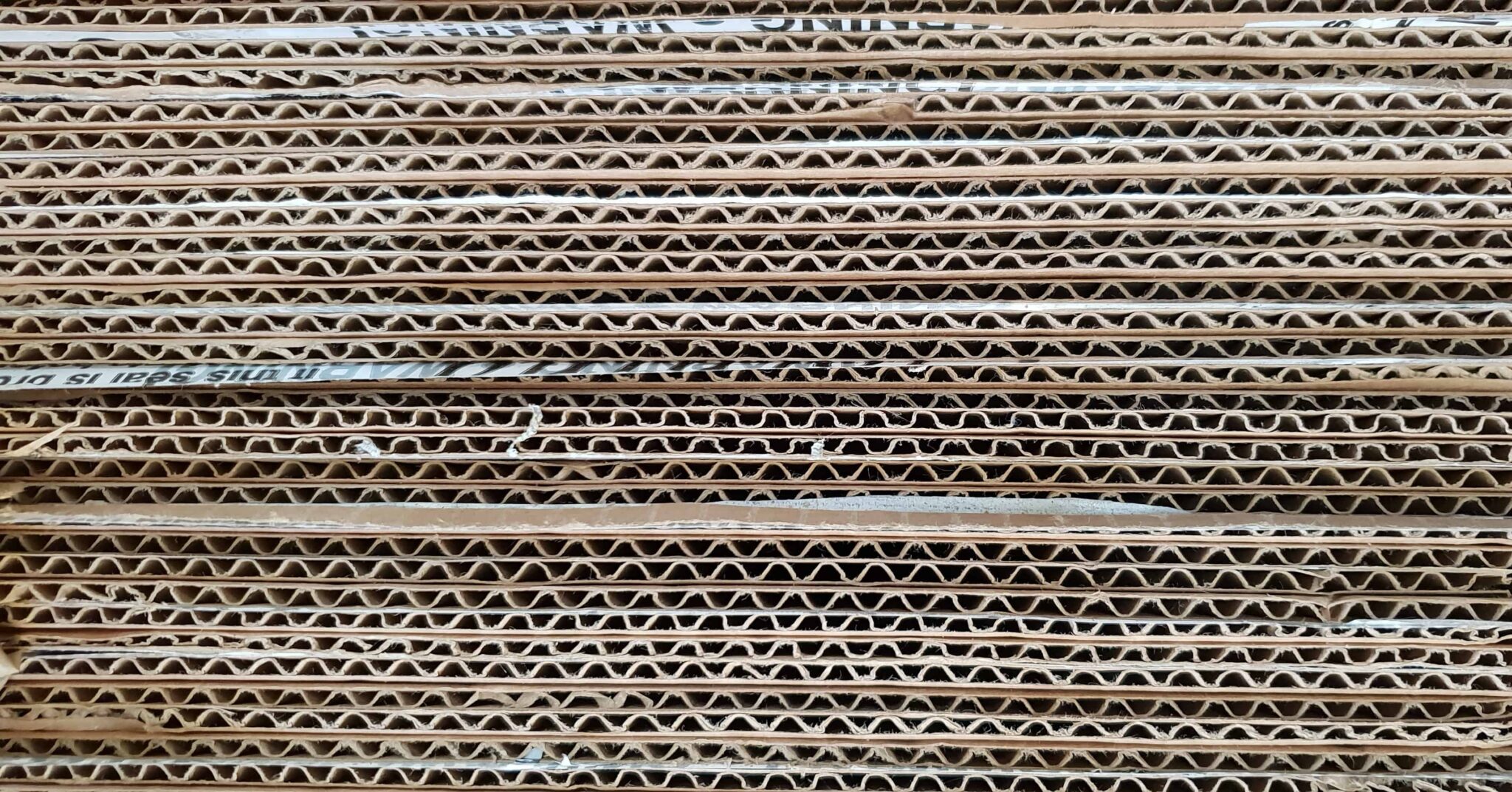 Is Cardboard Biodegradable? Is It Better to Recycle or Compost?