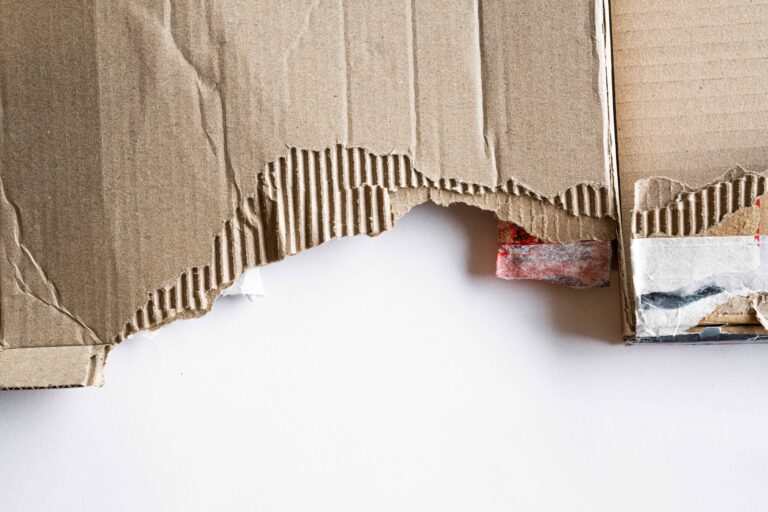 Is Cardboard Biodegradable? Is It Better to Recycle or Compost?